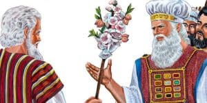 La Vara de Aarón: Poder Divino y Autoridad - Teologuia