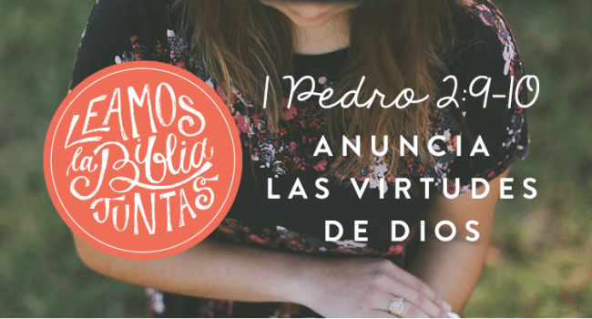 Calvinismo: Significado, Biblia y 5 Claves - Teologuia